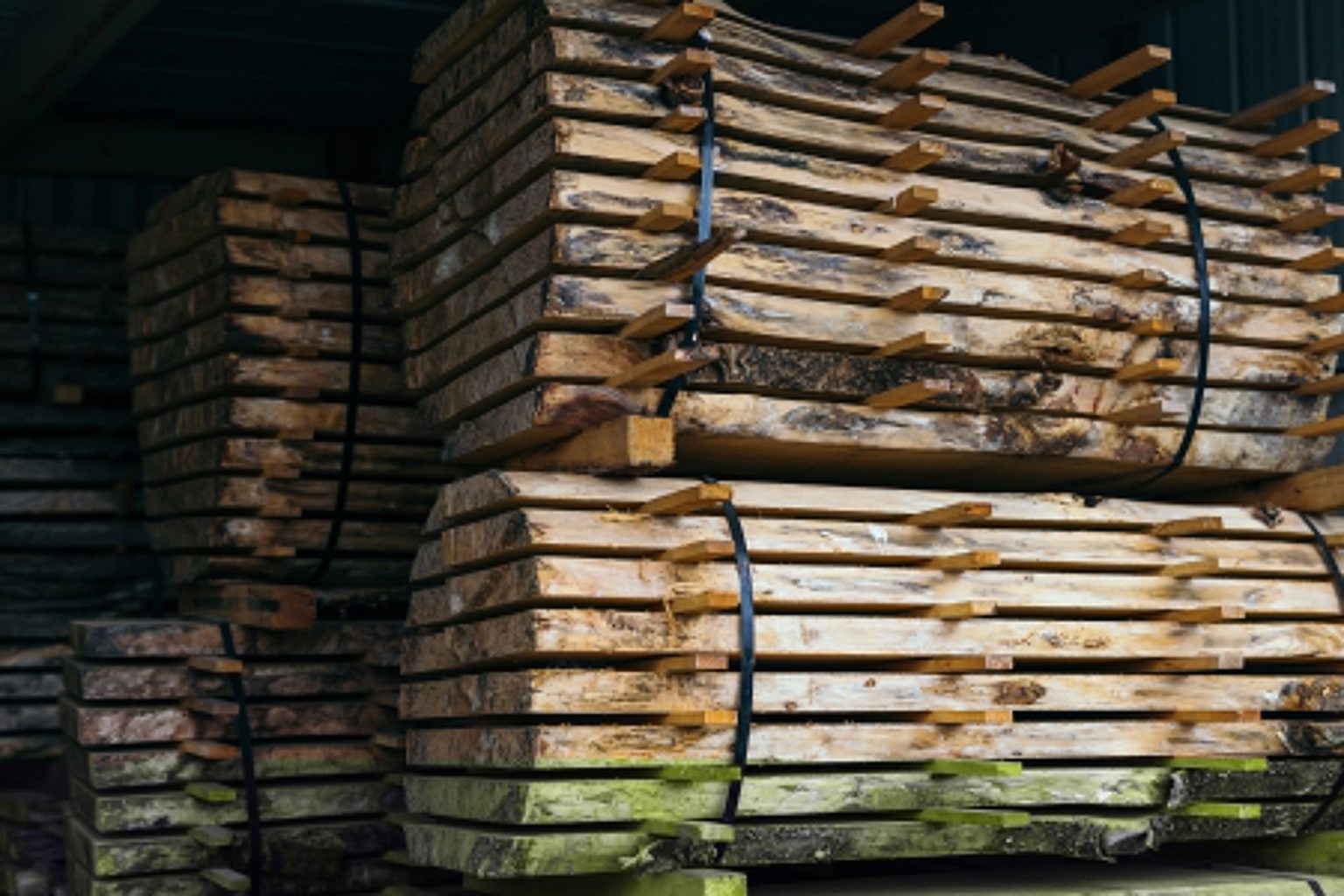 Timber supply catches up with construction demand but prices soar ...